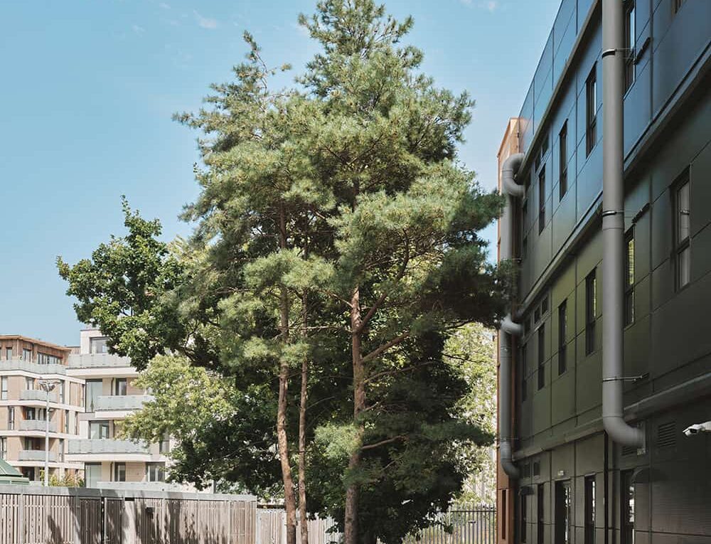The Paper Yard | Modular Lab & Office Construction